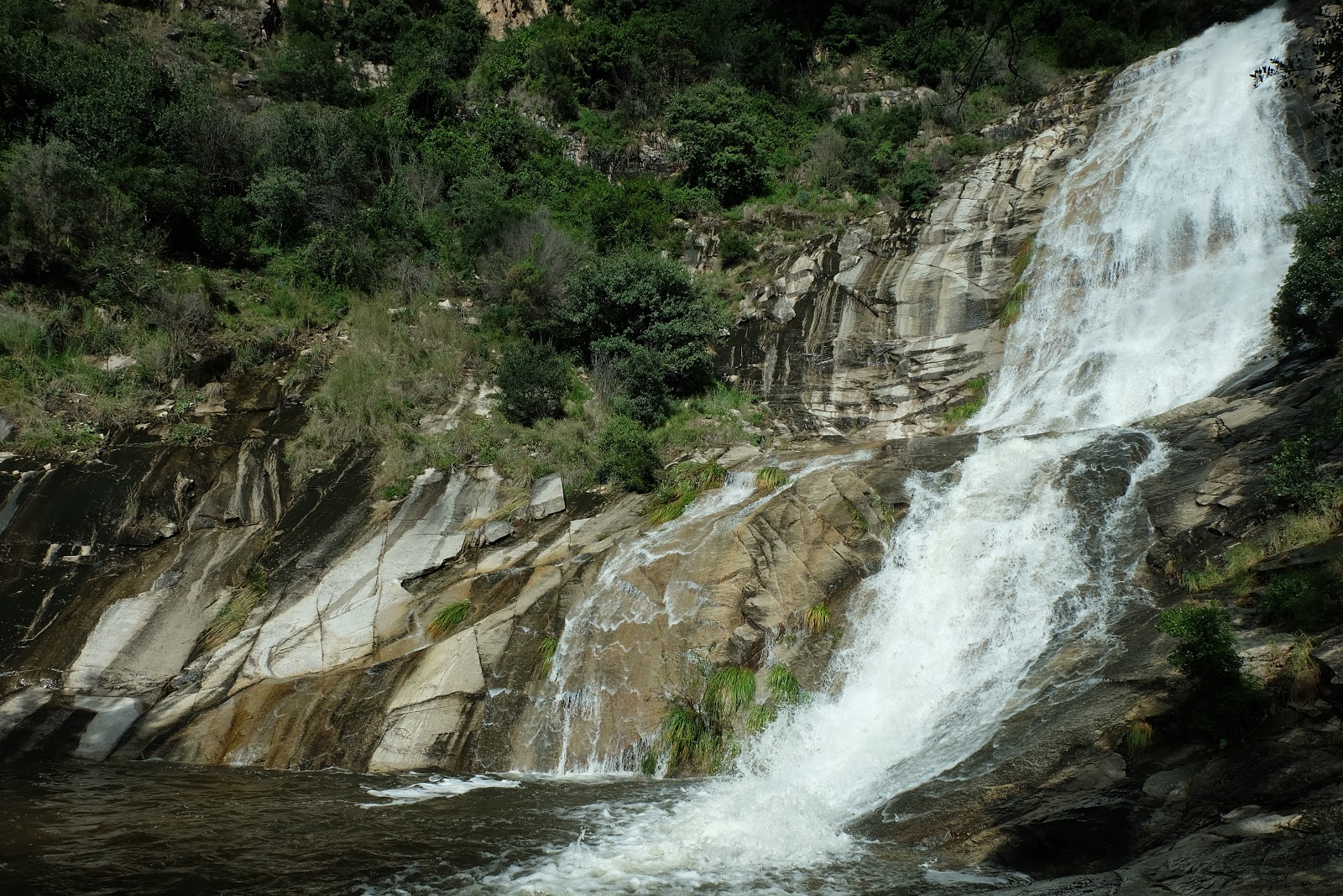 Rutas y paisajes de Catalunya: Ruta Salt d'aigua de Gualba en el Montseny