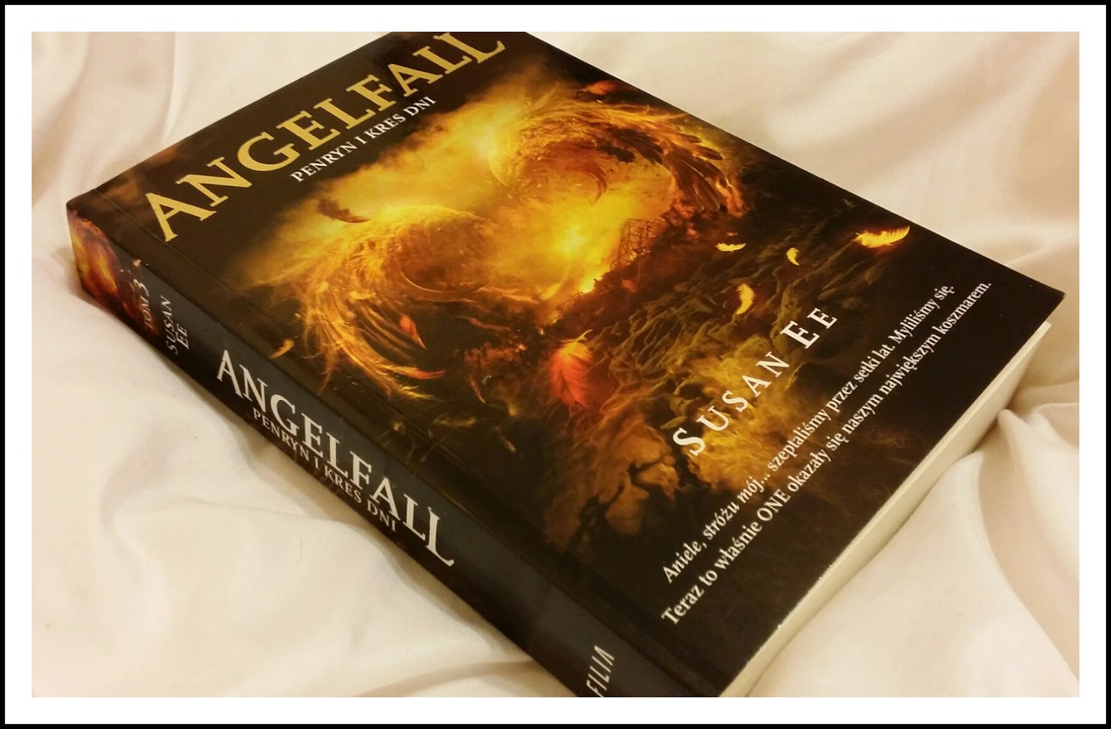 Angelfall. Penryn i Kres Dni – Susan Ee | Zaczytana Dolina – recenzje ...