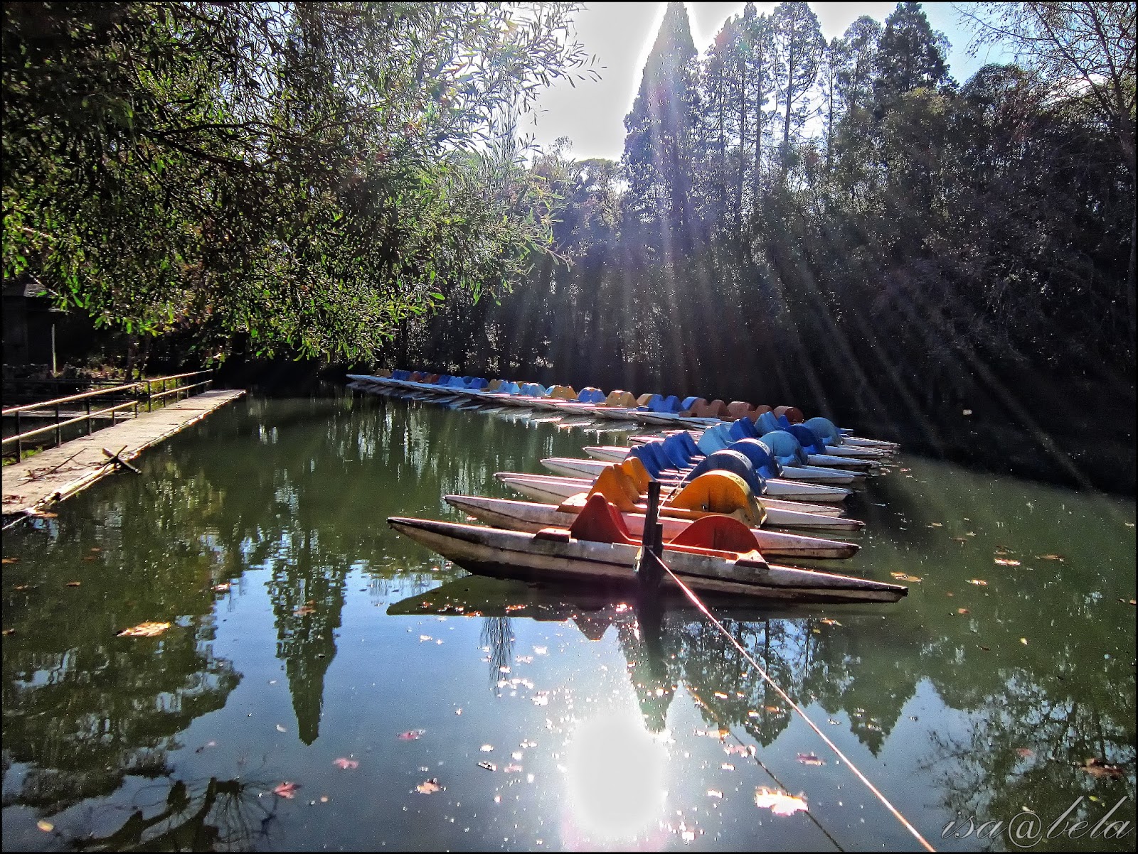 UM PIGO DE LUZ: Parque das Termas da Curia / Anadia