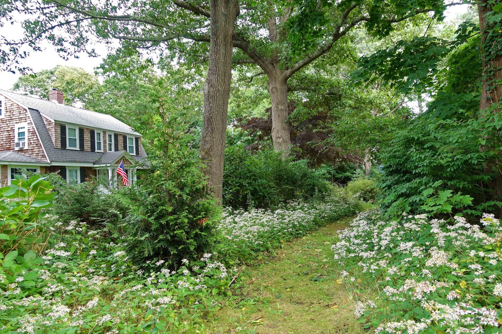 Joe's Retirement Blog: Out for a Walk, Manomet, Plymouth, Massachusetts ...