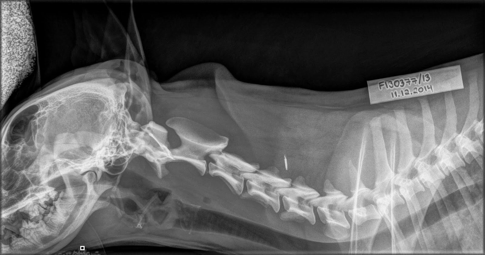 Taavin Touhut: Läpivalaistus