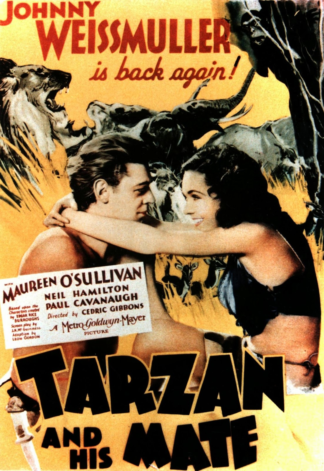 The Shit I Used To Watch On TV: Tarzan (1932-1948) MGM / RKO (ITV & BBC)