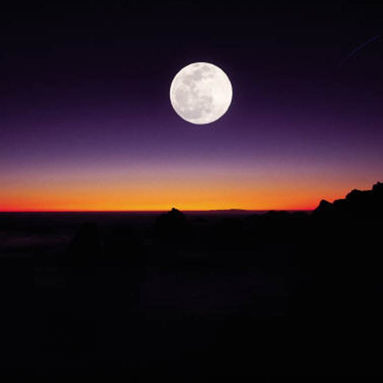 TRIBEWORK: When Grace Turns Karma Upside Down