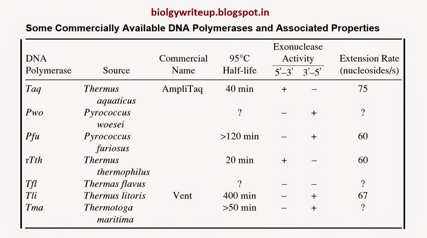 BIOLOGY WRITE-UP - BIOLOGY ARTICLES: POLYMERASE CHAIN REACTION (PCR ...