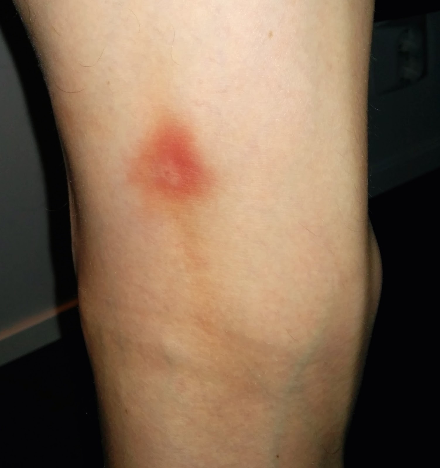 up around the bend: Herkkupala Etelä-Suomesta