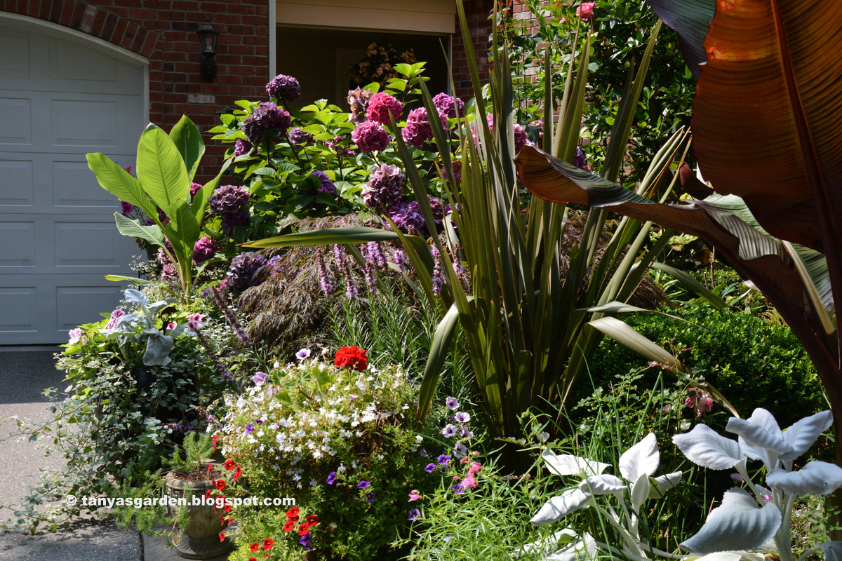 MySecretGarden: Front Plant Bed at Its Best in 2018