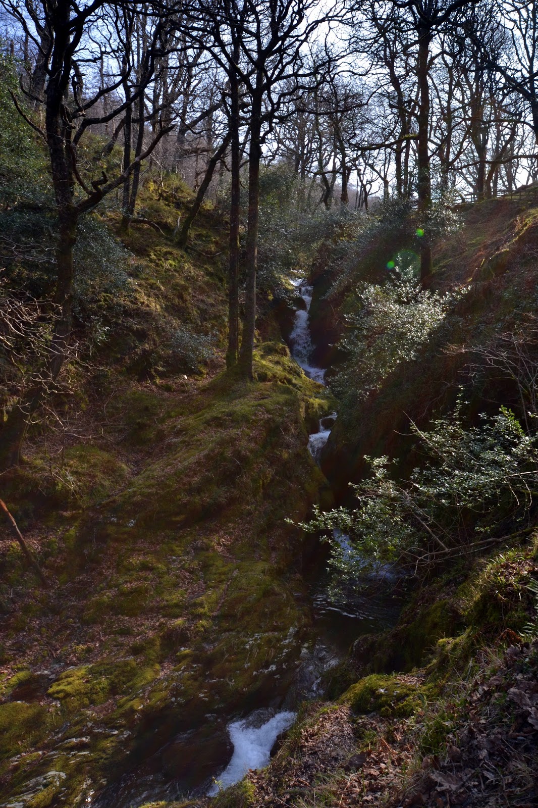 The Roaming Renegades Exploring the breathtaking Wicklow Mountains ...