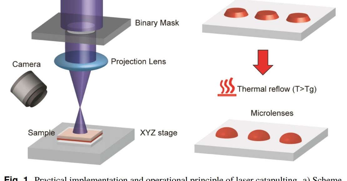 Image Sensors World: Microlens Fabrication by Laser Catapulting