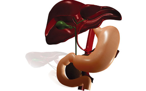 Liječenje prirodnim putem: Jetra i njena uloga u organizmu