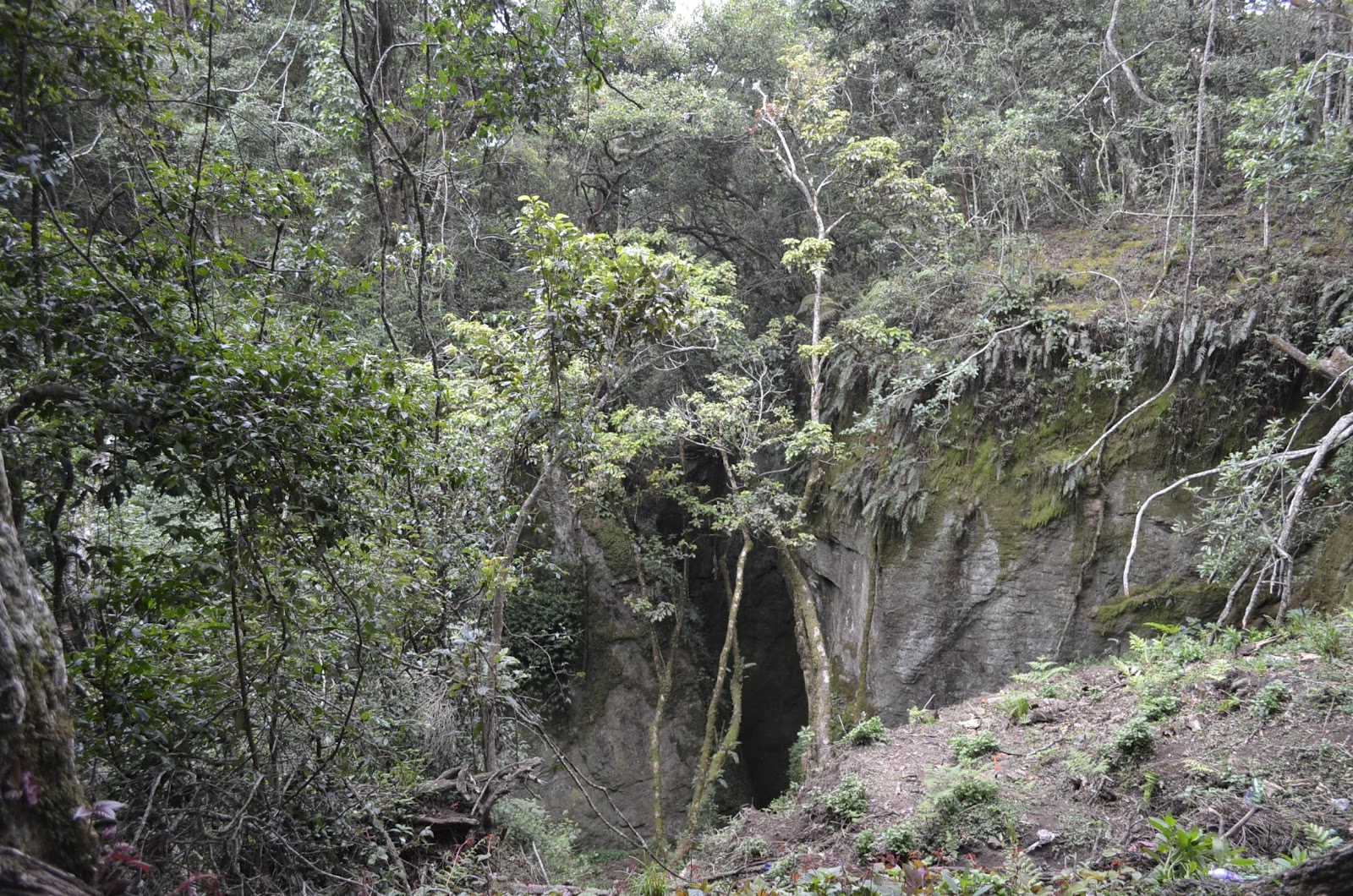 All about my travel experiences: Trip to Kodaikanal