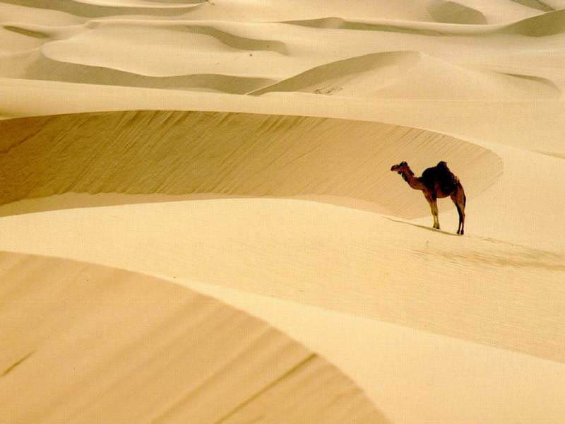 Sahara, Africa – Travel Guide and Travel Info | Tourist Destinations