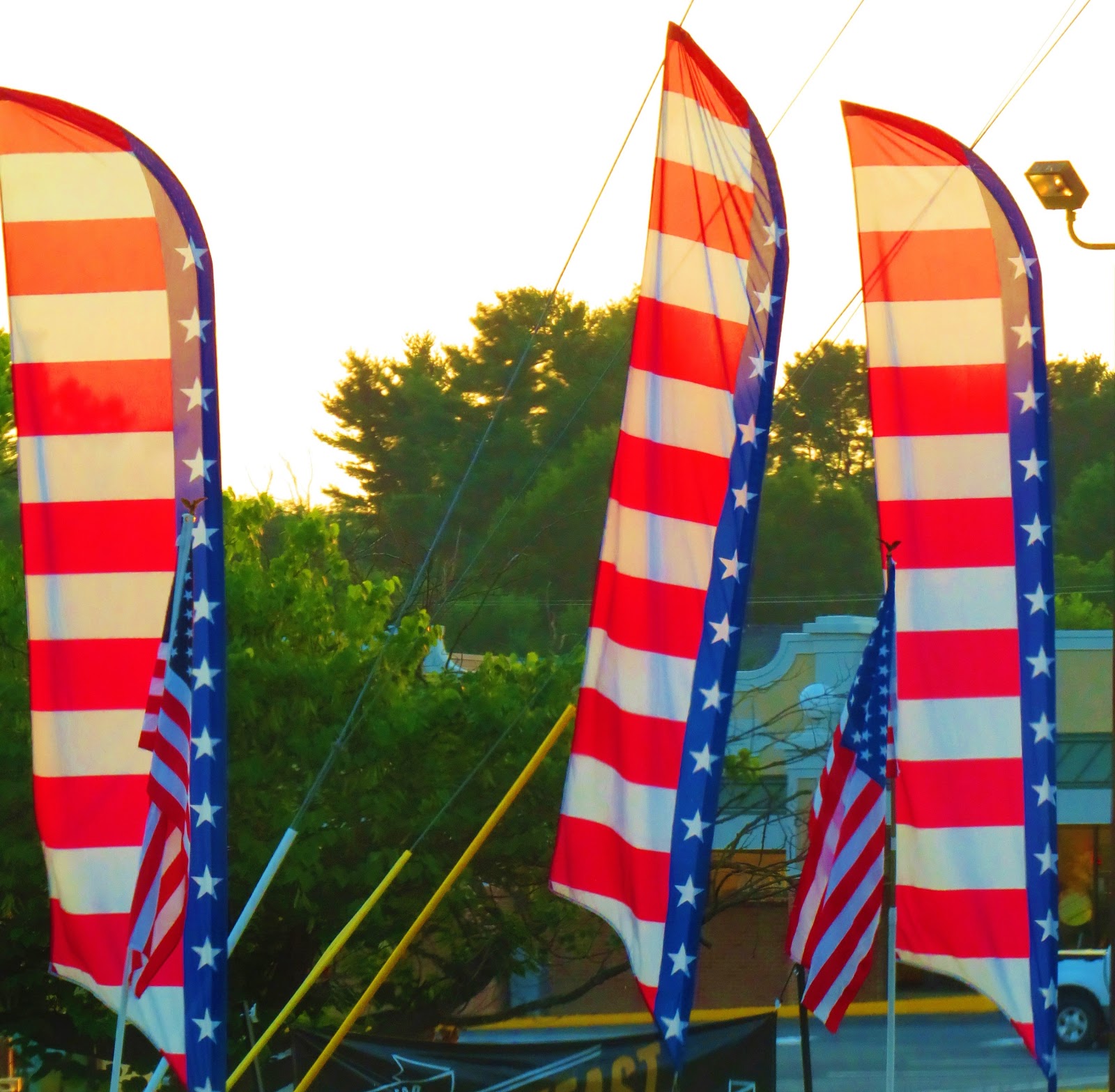 Let Your Light Shine: Freedom