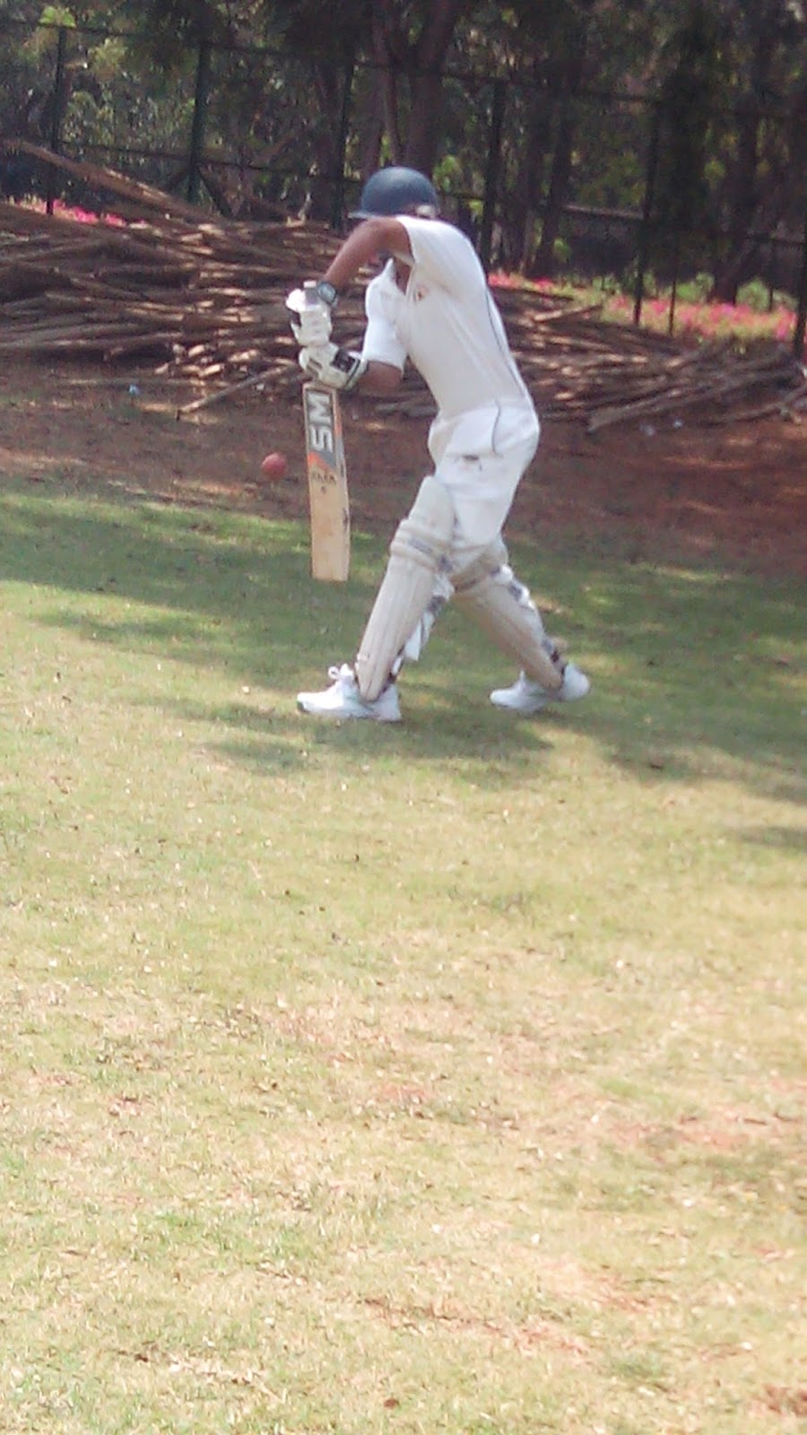 How to improve your batting in cricket: Basic techniques for batting in ...