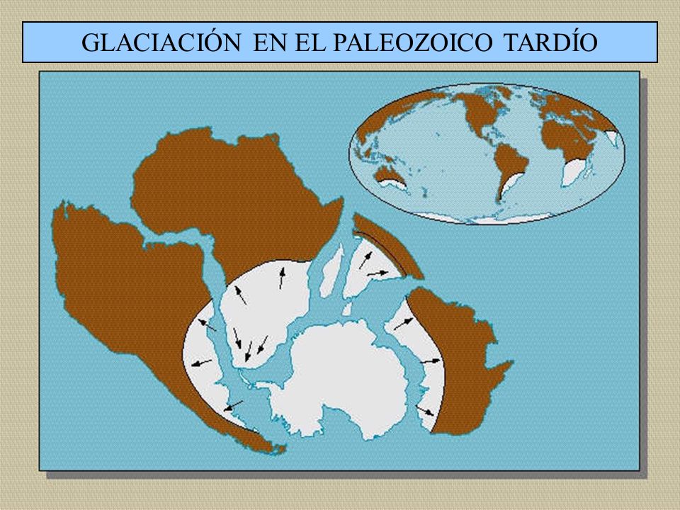 Cusevi y Pemaco: PALEOZOICO