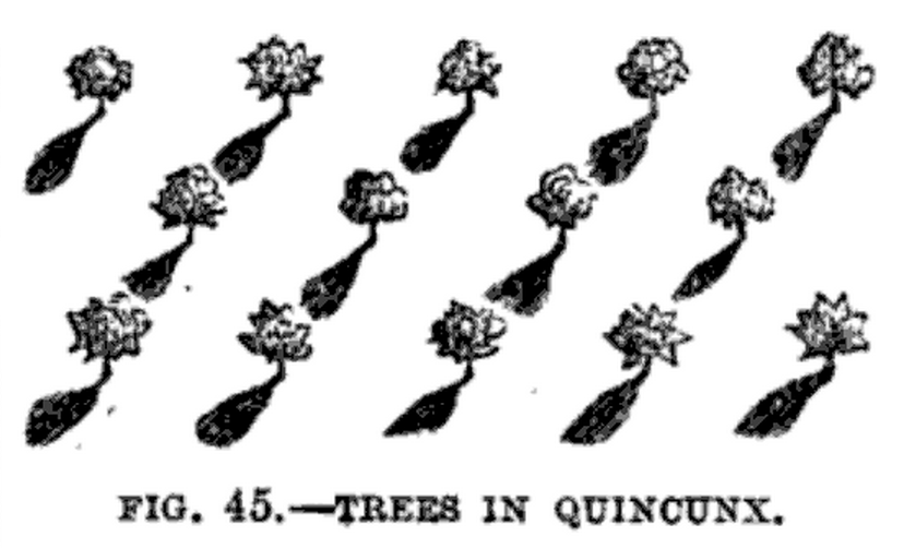 What is quincunx system - gseflex