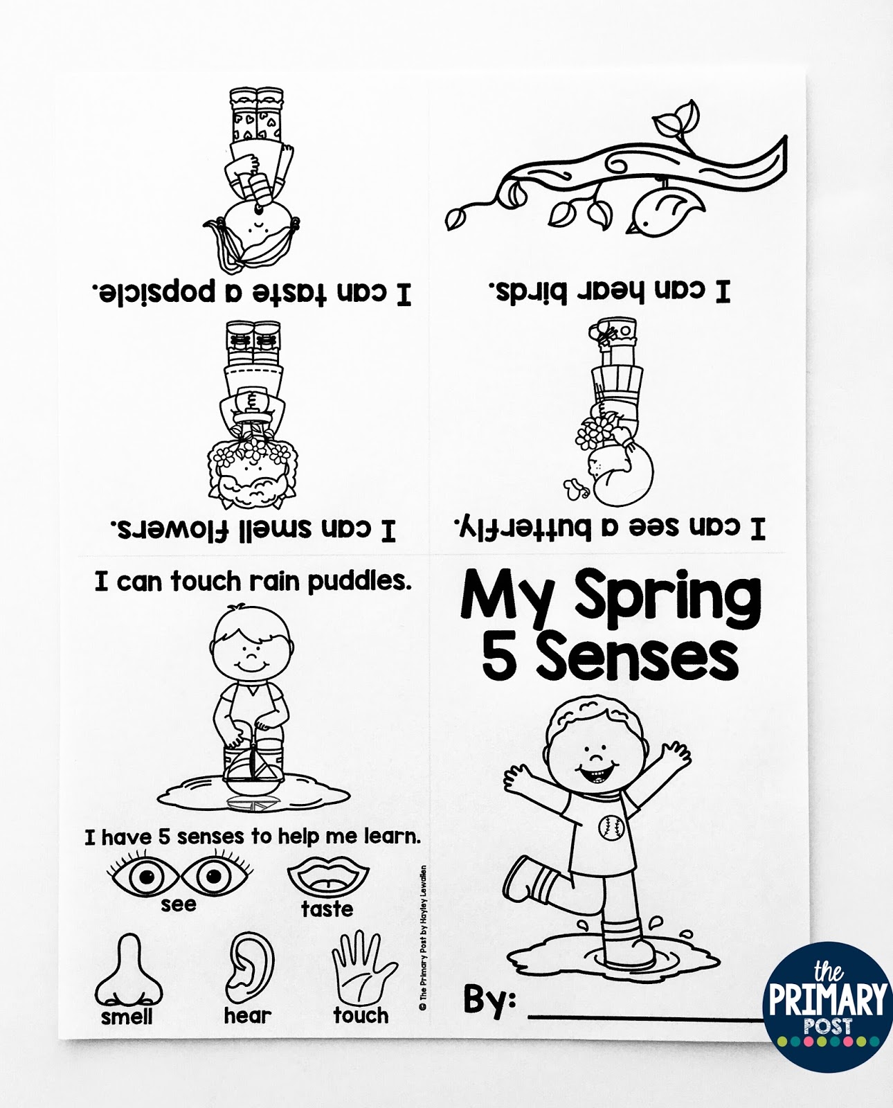Spring 5 Senses Mini Book FREEBIE - The Primary Post