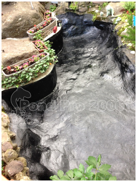 Concrete Pond Coating: Pond shield epoxy pond coating-Lets have perfect ...