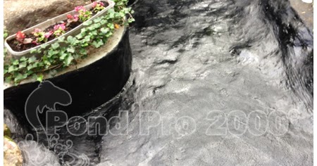 Concrete Pond Coating: Pond shield epoxy pond coating-Lets have perfect ...