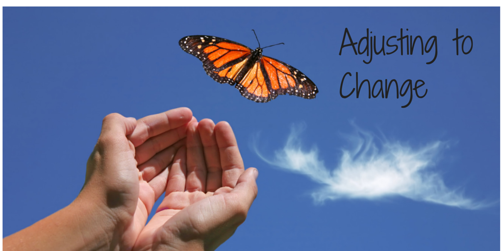 Big Blog: Adjustments