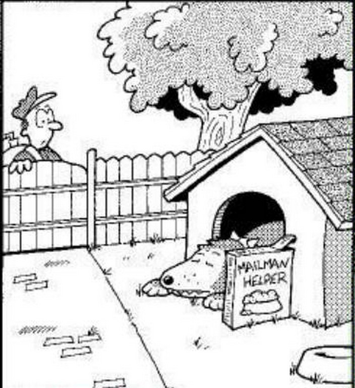 Chucks Fun Page 2 Assorted Cartoon Humor 40 Images
