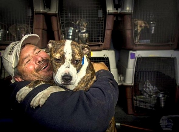 Man spends half his year driving to save dogs; has driven million miles ...