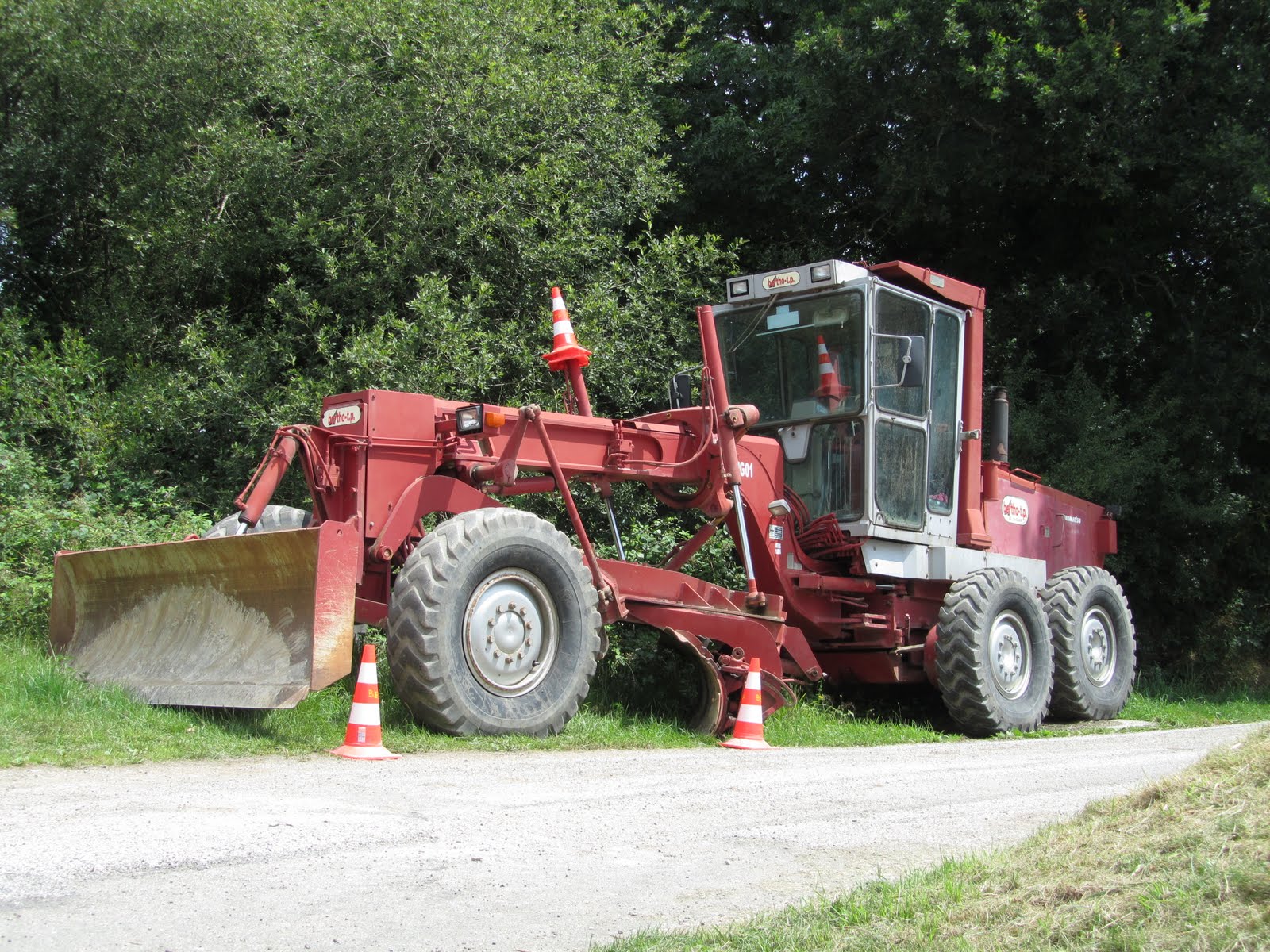 Livingin22: Powercut and Cats in the Garden
