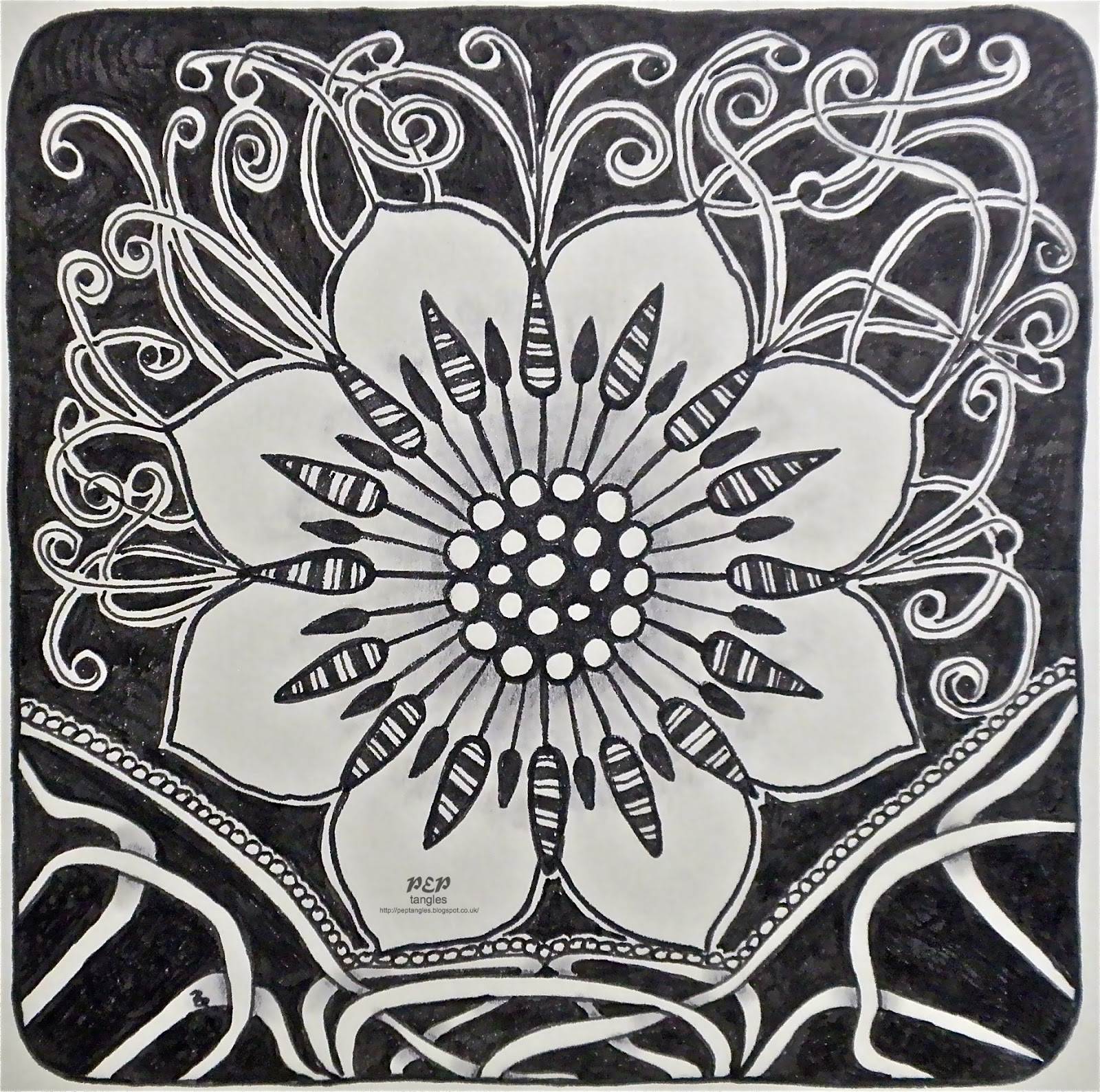 PEP tangles: MCC All About Zentangle - More Wk 1