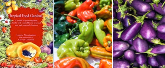 NephiCode: August 2014