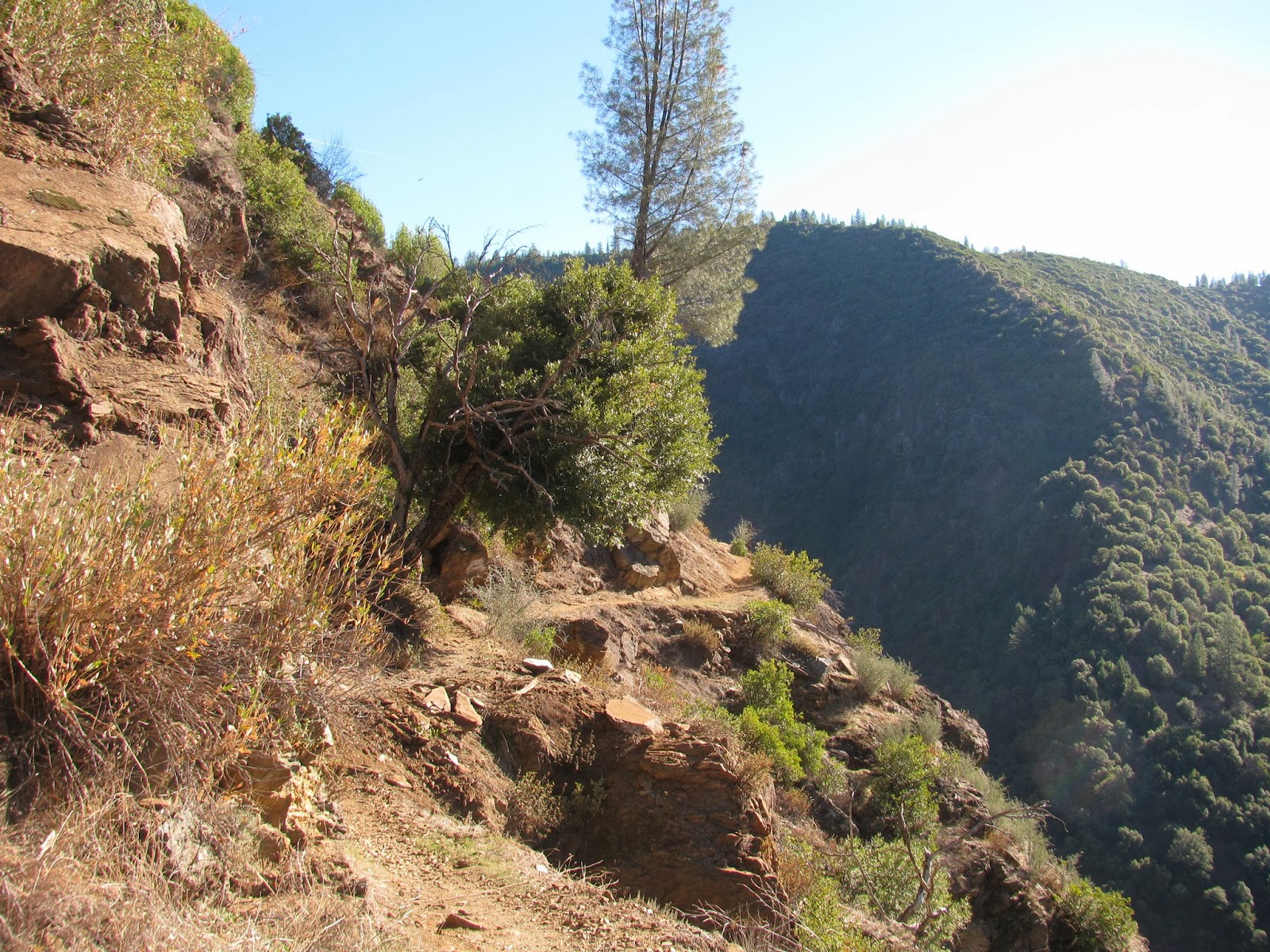 Weekend Wanderluster: Stevens Trail in Winter (Placer County, California)