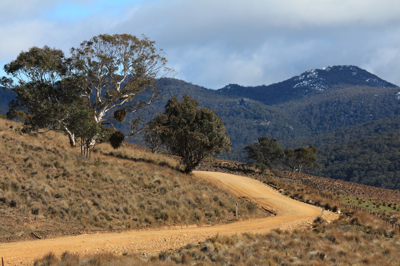 awildland: Tinderry Peak, Tinderry Nature Reserve, NSW