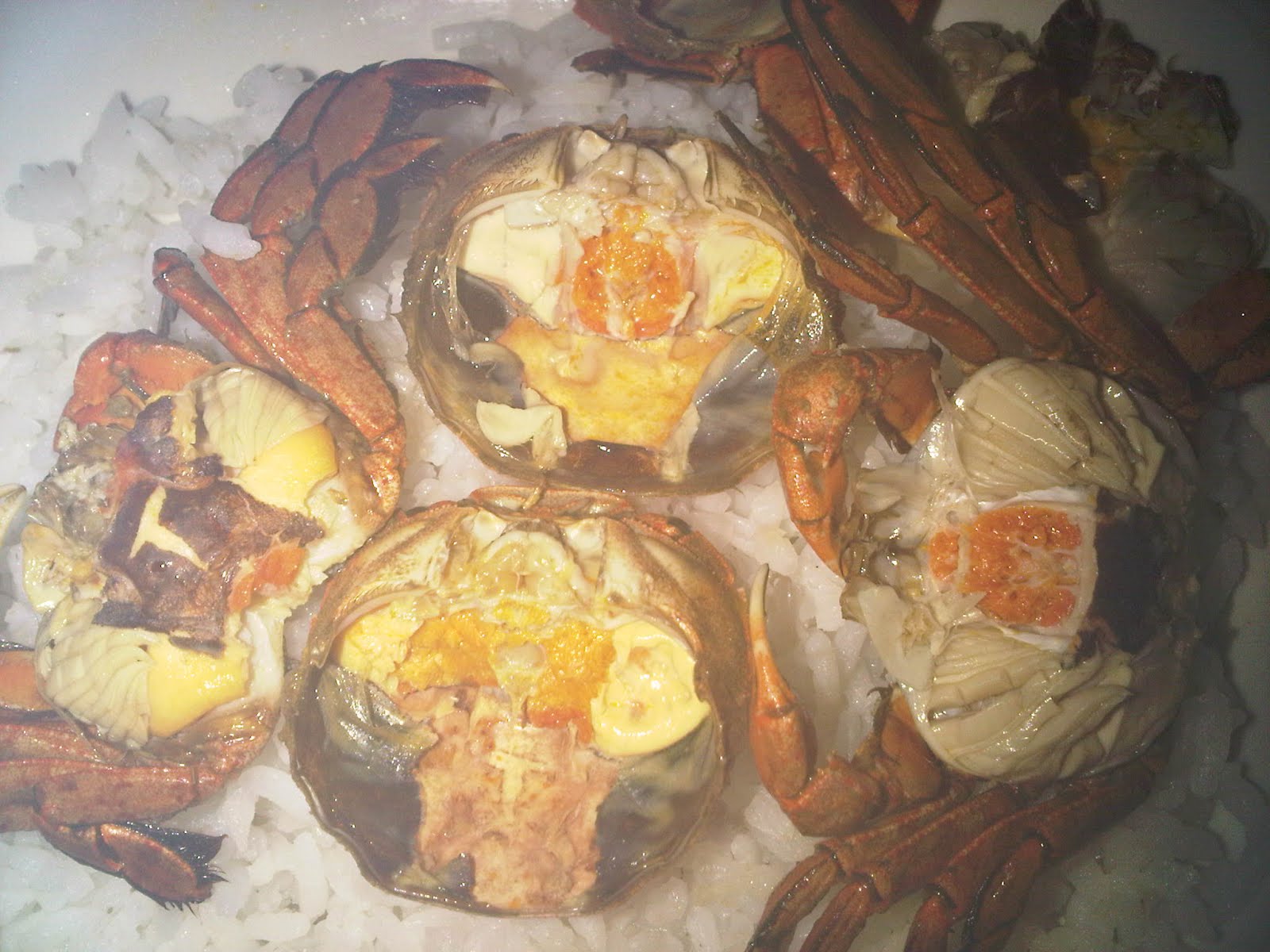 Dimmpss' Chronicles: Talangka!