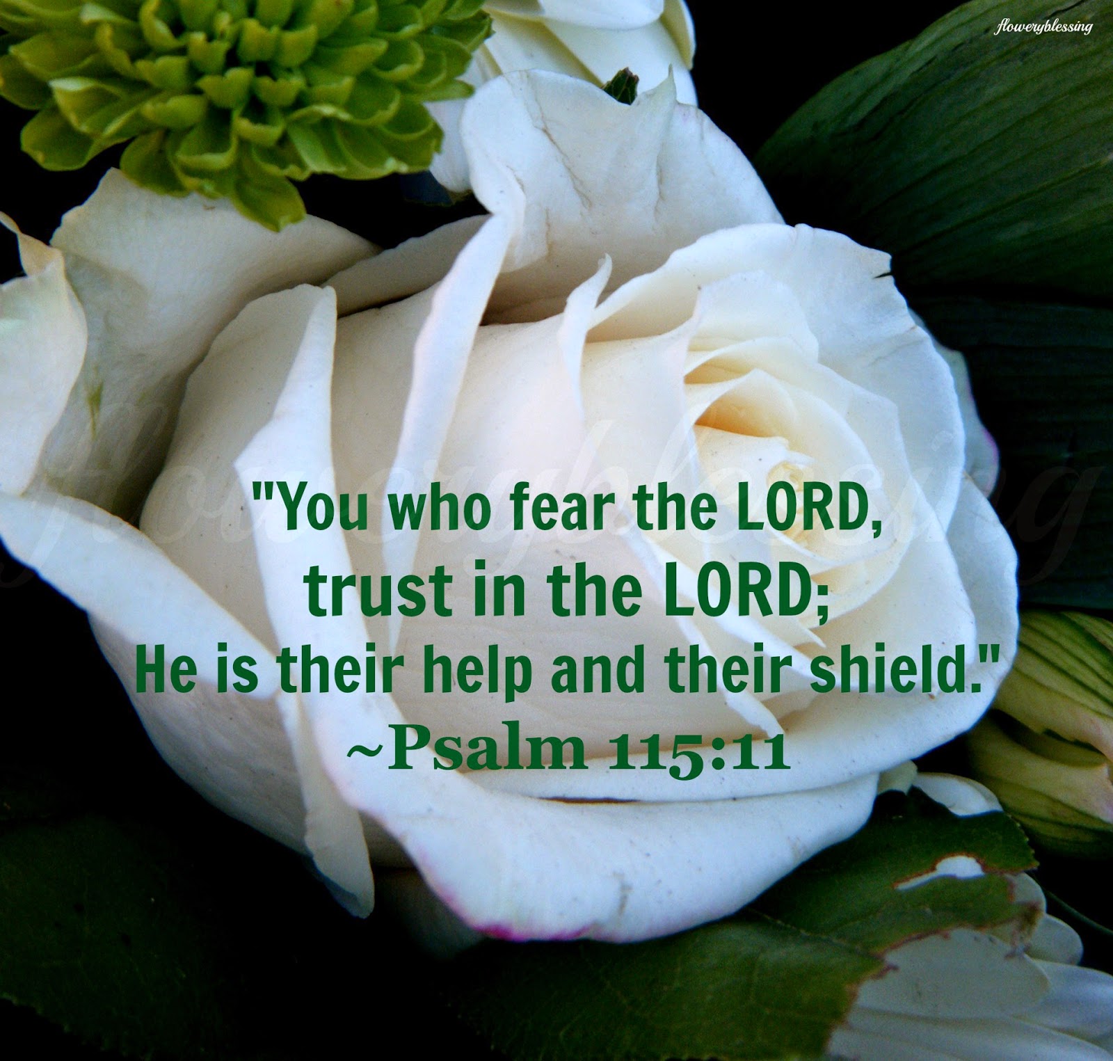 Flowery Blessing: May 2014