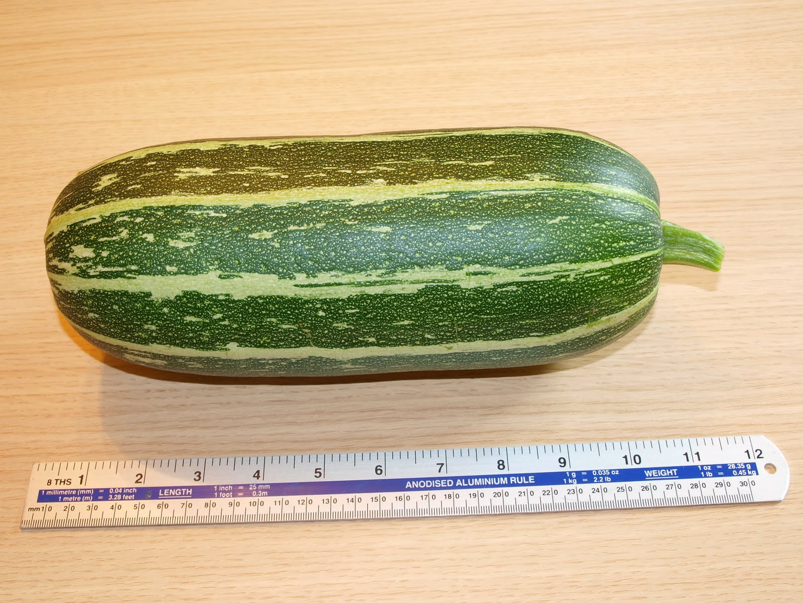 Mark's Veg Plot: Marrow "Bush Baby"s first fruit