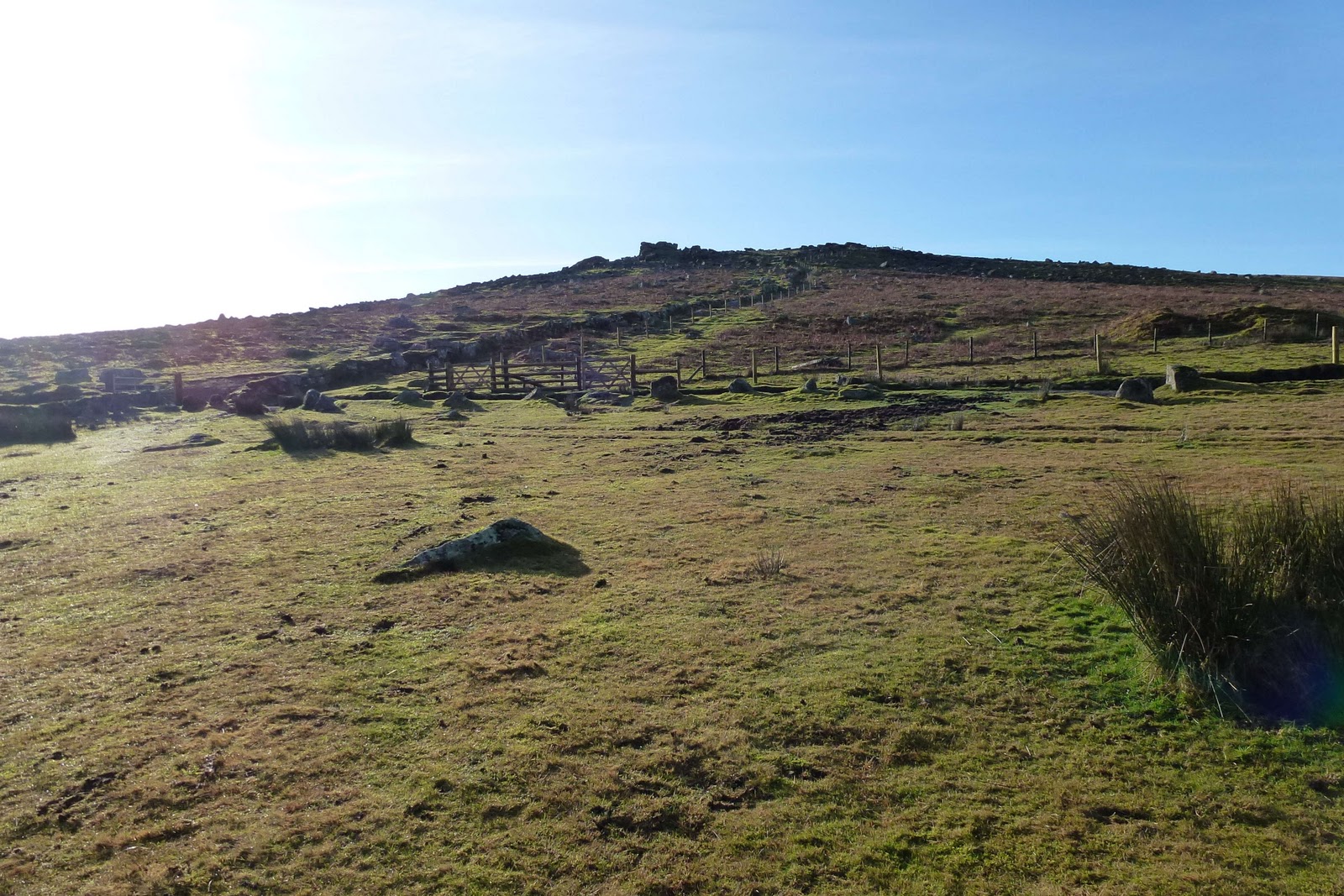 My Dartmoor Walks: Friday 13th January Gutter Tor and War Horse