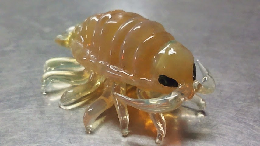 The Echinoblog: 5 EPIC Deep-Sea Giant Isopod (Bathynomus) Observations ...