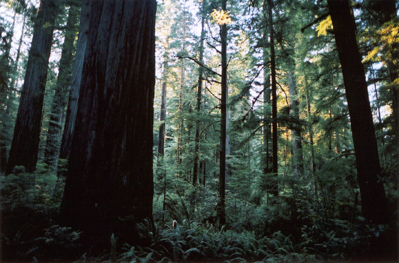 Stormtroopers vs Martians - Battles - Comic Vine