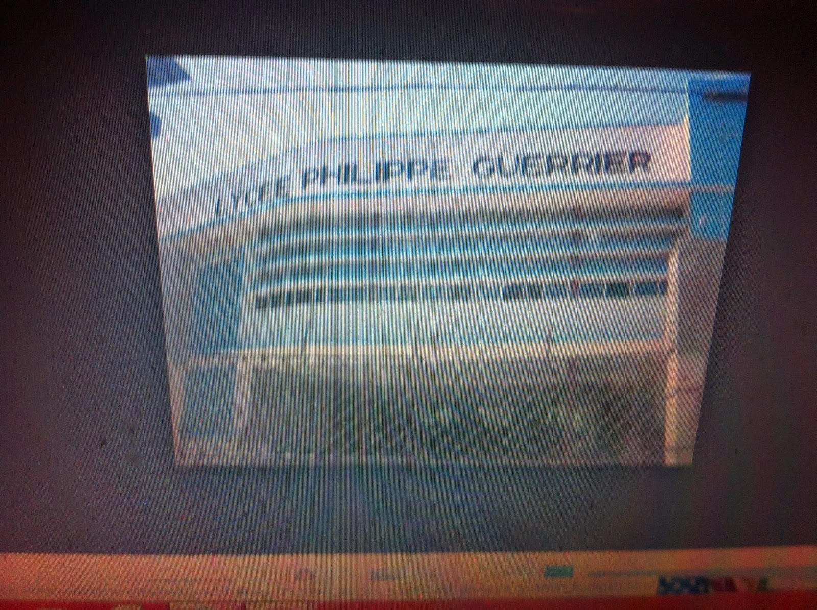 THE BLACK SOCIAL HISTORY:: BLACK SOCIAL HISTORY : AFRO - HAITIAN ...