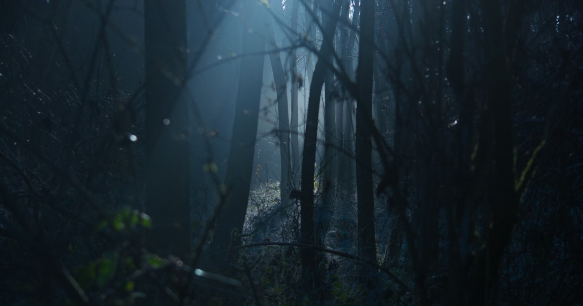 El primer destello---- parte 1