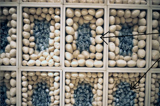 ART 101 David Phillips: Repetition and Rhythem