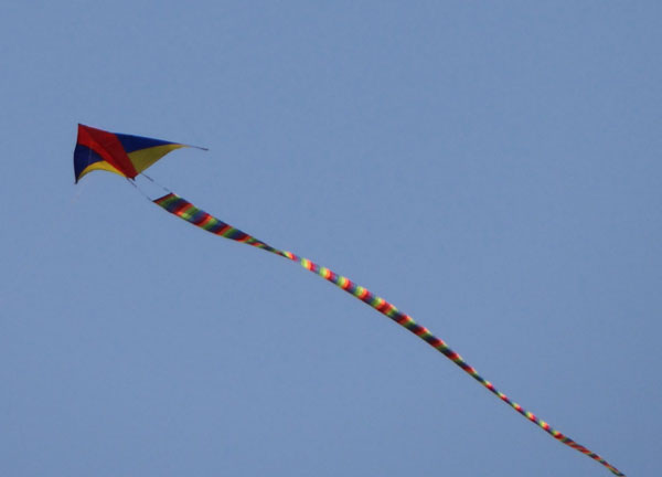 Just About Everything: Amazing collection of Kites!