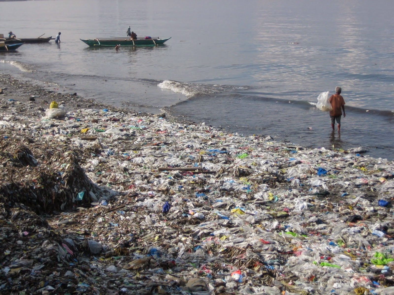 The Great Pacific Garbage Patch : Location