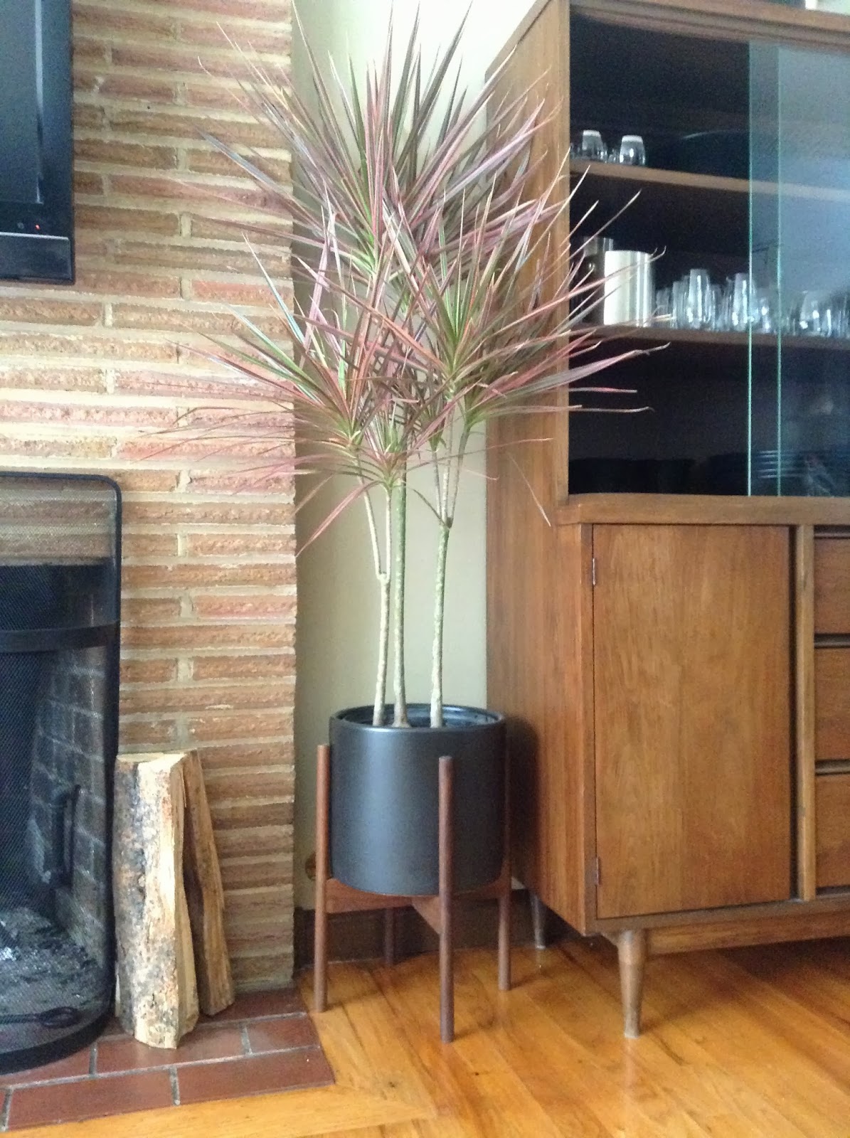 Northwest Nirvana: Gainey Pots and Indoor Plants