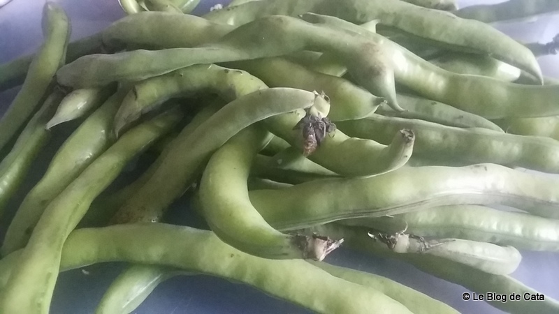 Blogul lui Cătă: Supa crema de fasole proaspata fava