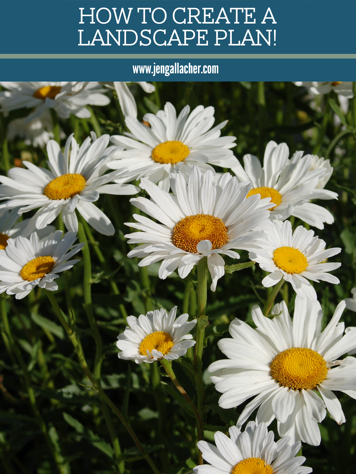 How To Create A Landscape Plan Jen Gallacher How To Create A Landscape Plan Jen Gallacher