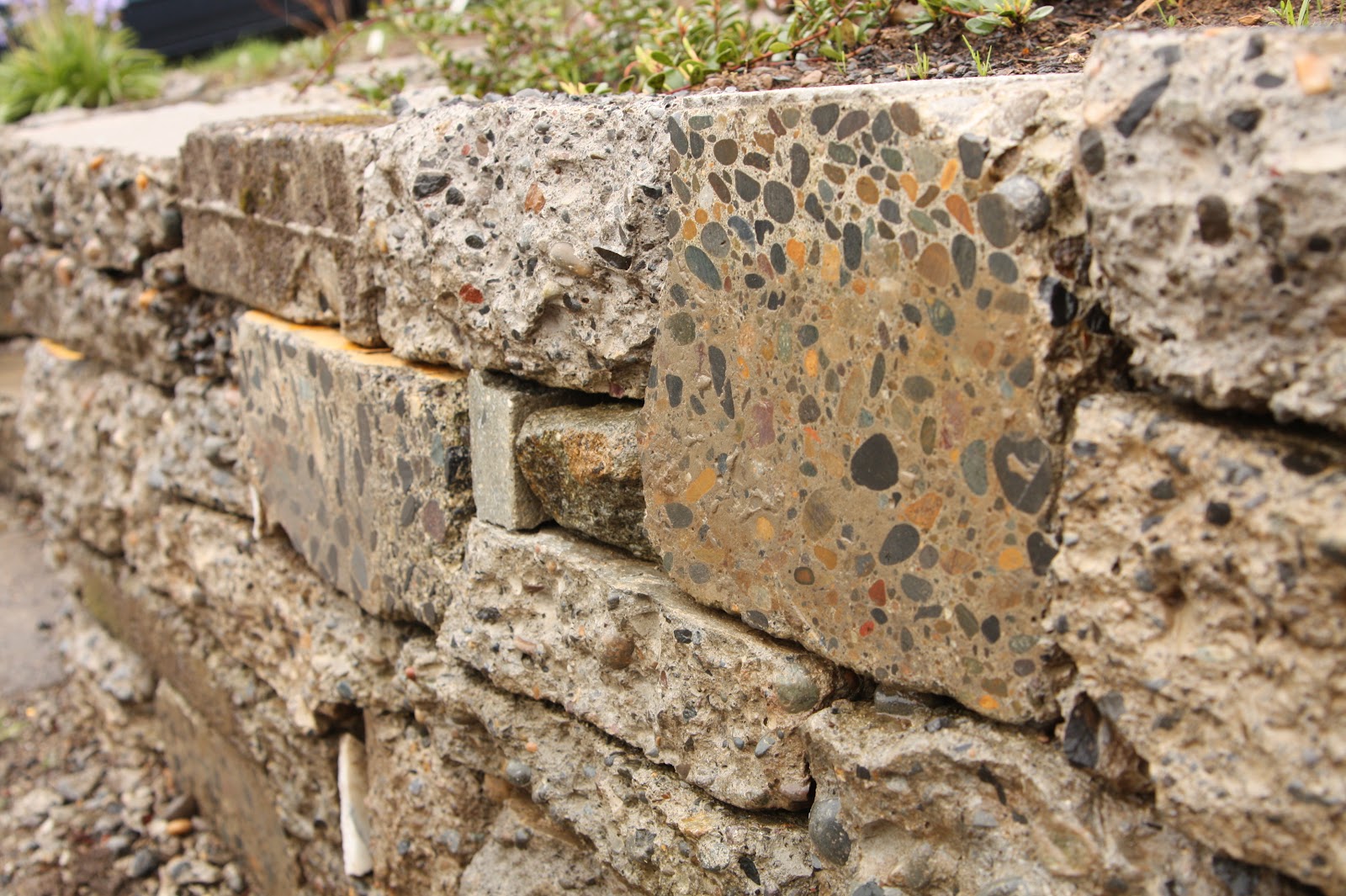 In My Vegan Garden: Urbanite in the Garden