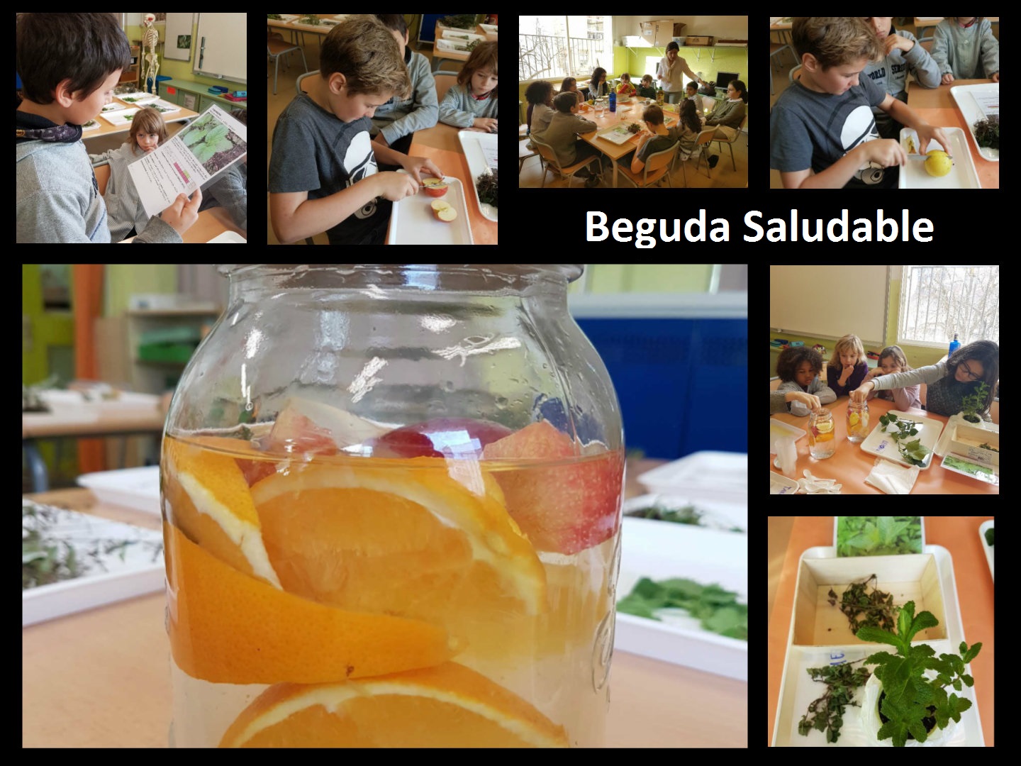 Hort amb Cor: BEGUDA SALUDABLE - Lluitem per les begudes SENSE sucre.