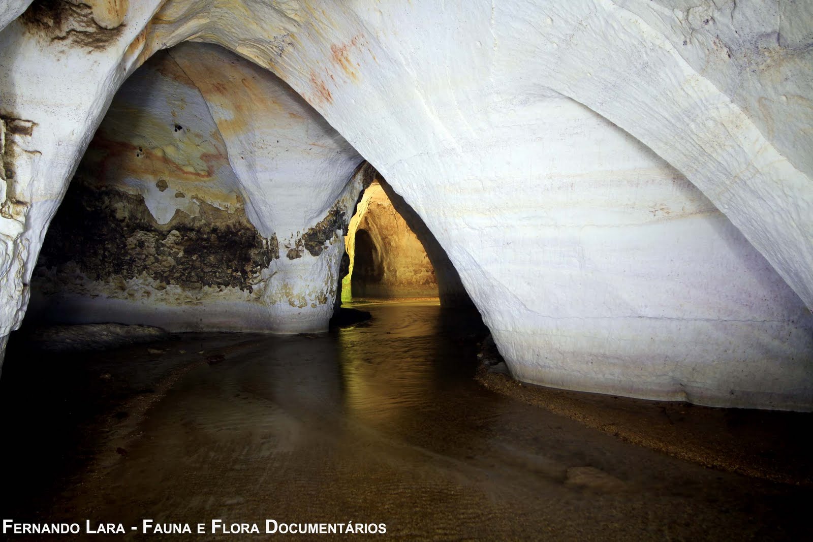 Rotas Verdes Brasil: As belezas da APA Maroaga