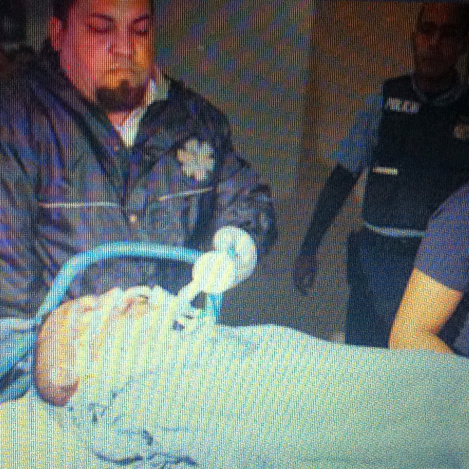 THE BLACK SOCIAL HISTORY:: BLACK SOCIAL HISTORY : AFRICAN AMERICAN ...