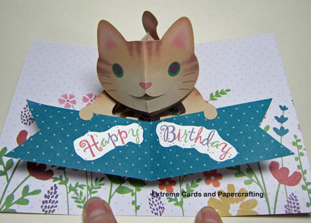Happy Birthday Cat Pop Up Card