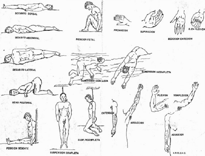 CADÁVERES EN LOS SITIOS DE SUCESOS ~ CRIMINALISTICA BASICA